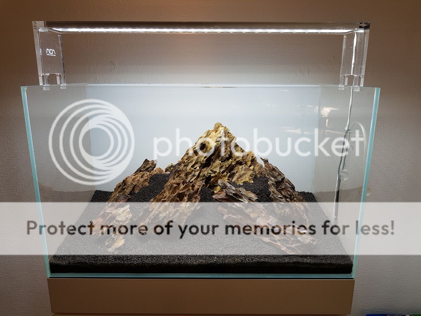 New Scape Dragon stones. | UK Aquatic Plant Society