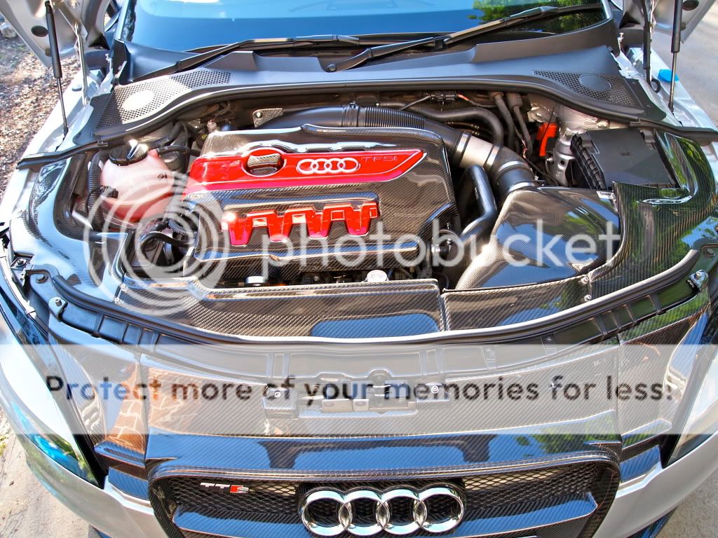 New TTS Engine bay carbon | VW Vortex - Volkswagen Forum