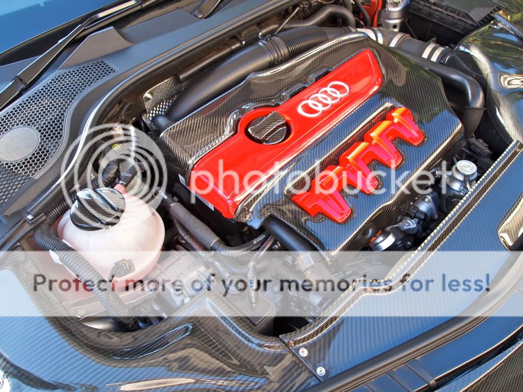 New TTS Engine bay carbon | VW Vortex - Volkswagen Forum