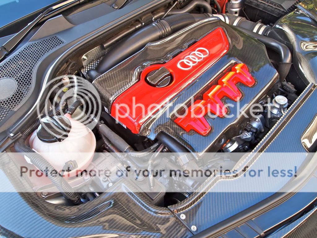 New TTS Engine bay carbon | VW Vortex - Volkswagen Forum