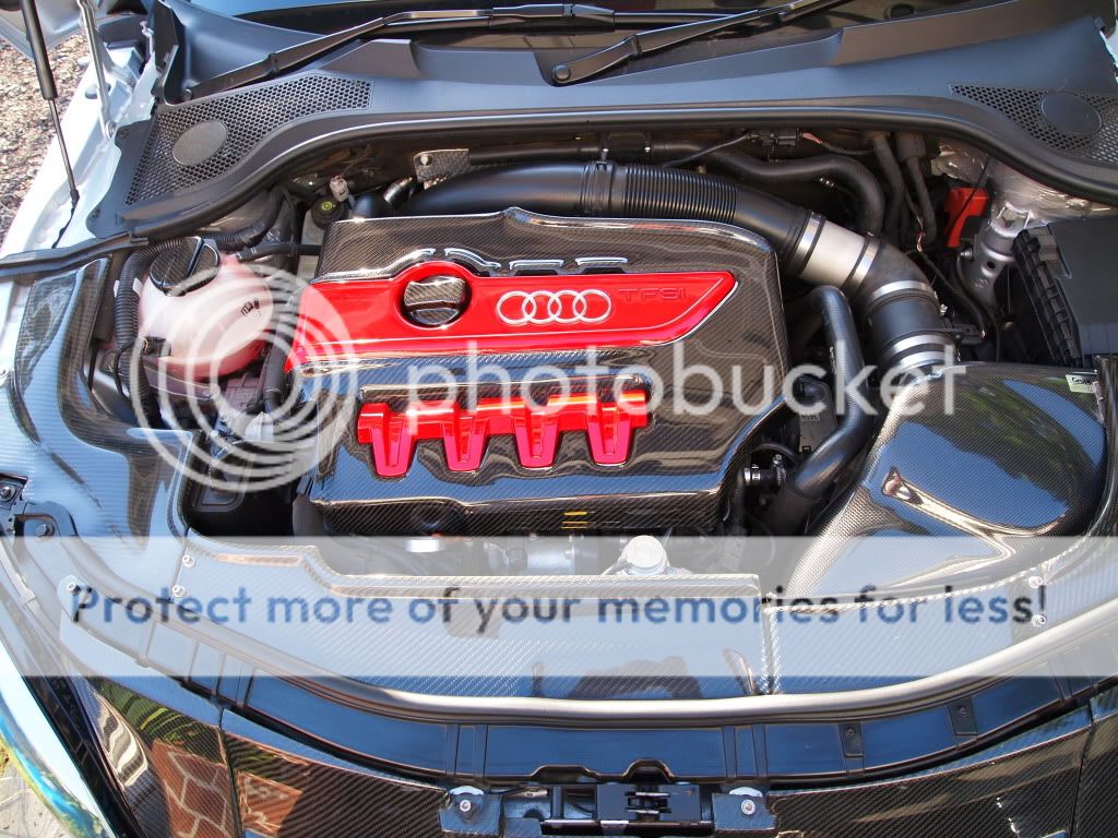 New TTS Engine bay carbon | VW Vortex - Volkswagen Forum